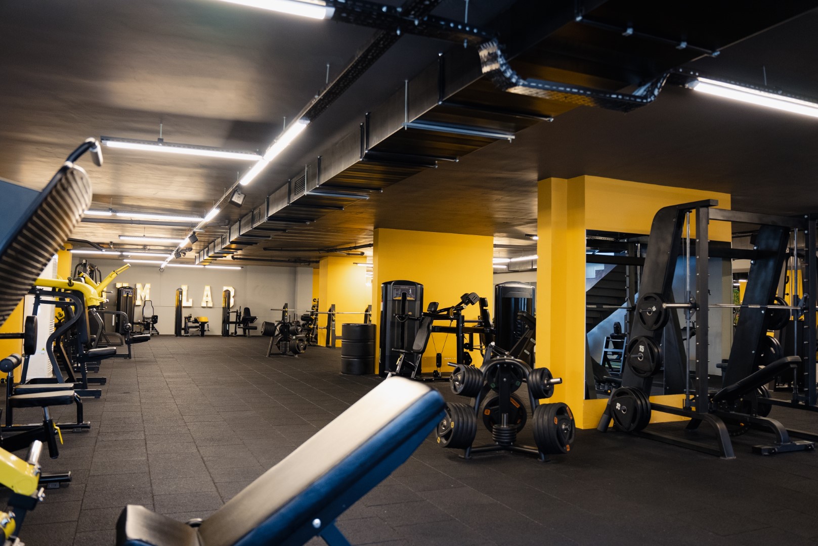 GYM LAB